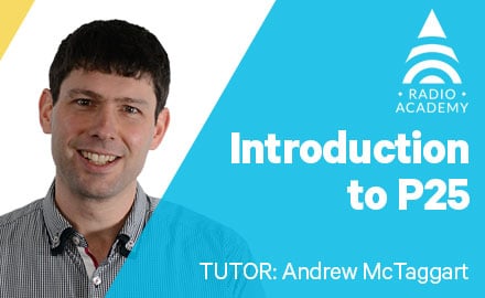 P25 Phase 1 and P25 Phase 2 Multiband Portable Radio