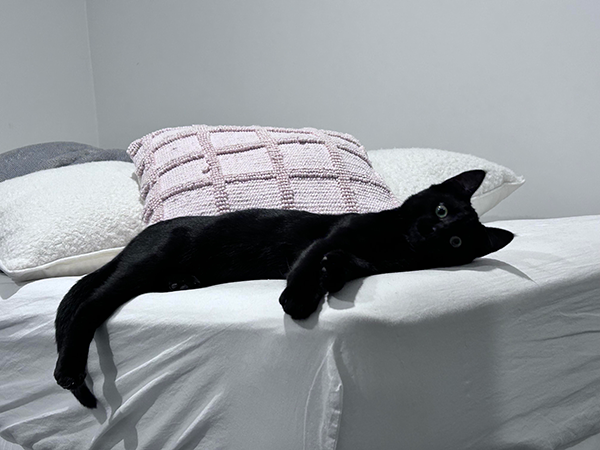 Tait Staff Spotlight – Margaret Grant