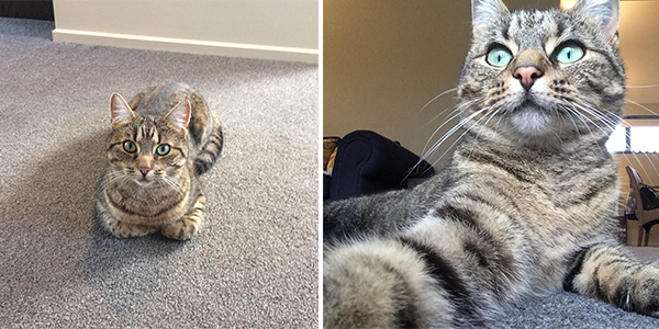 Tait Staff Spotlight – Margaret Grant