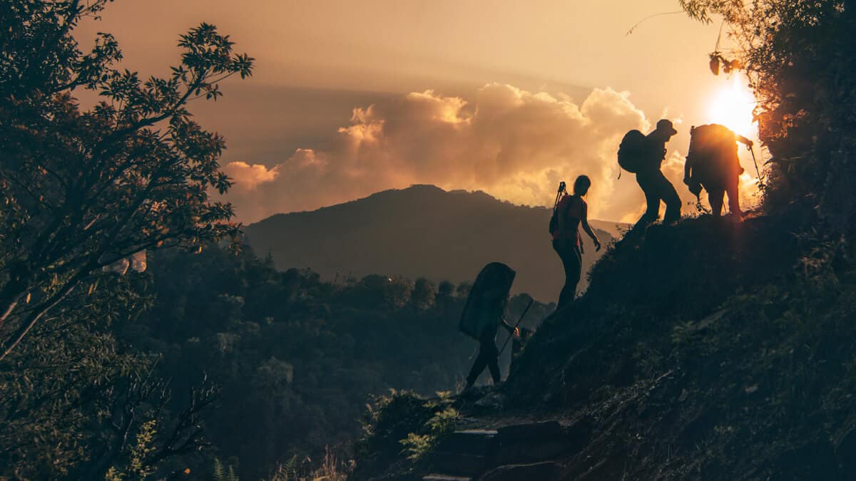 Tait DMR |Open Standards for Flexibility